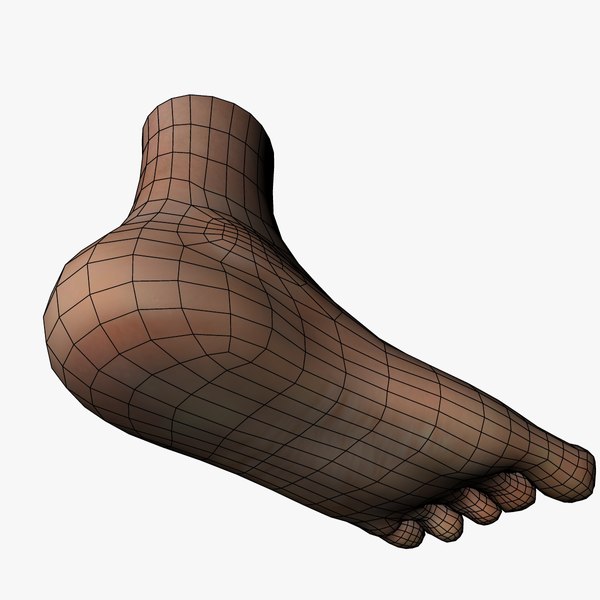 3d foot model
