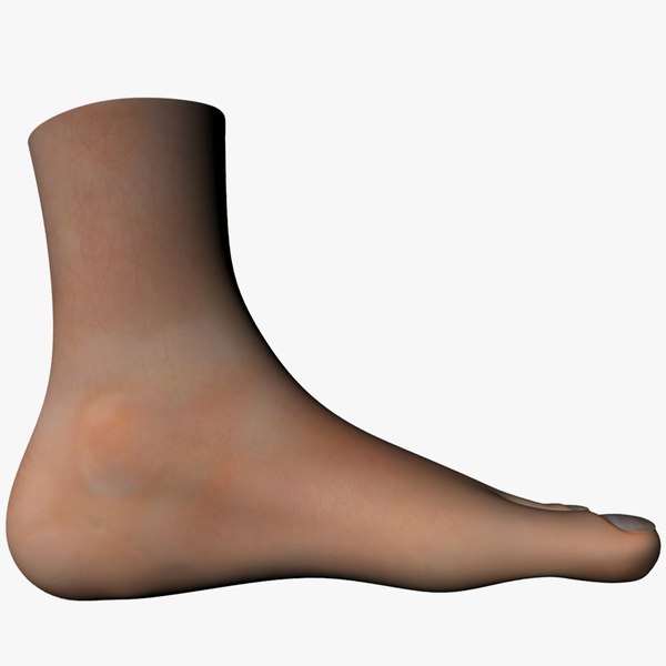 3d foot model