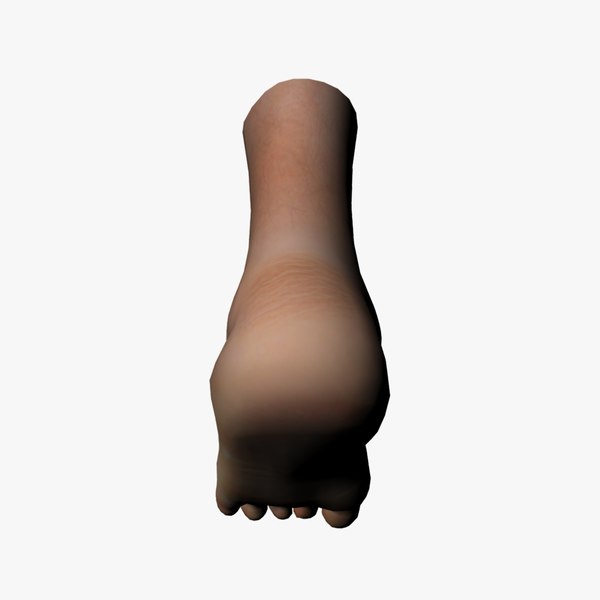 3d foot model