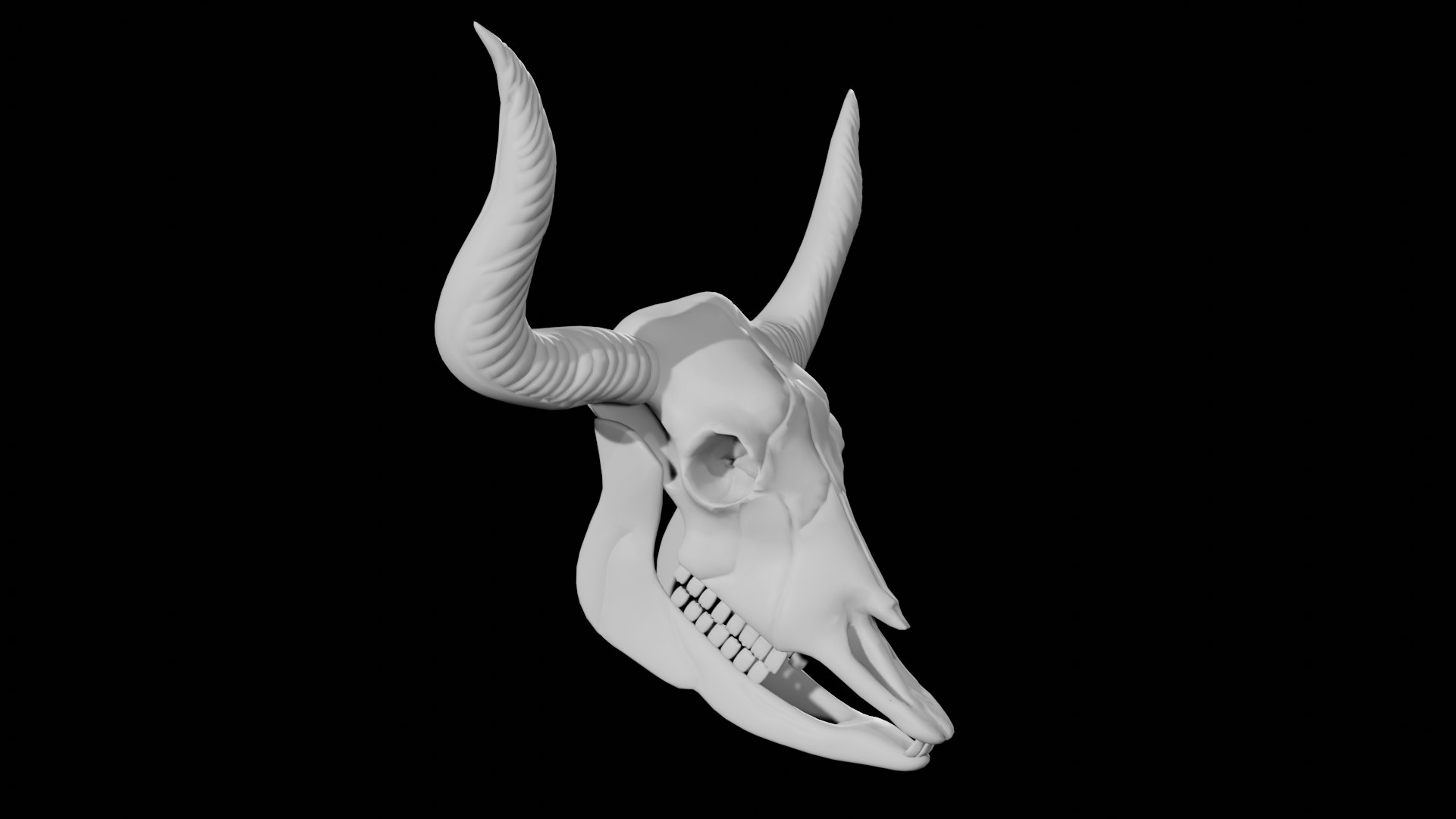 Rigged Bull Skull Model - TurboSquid 1840517
