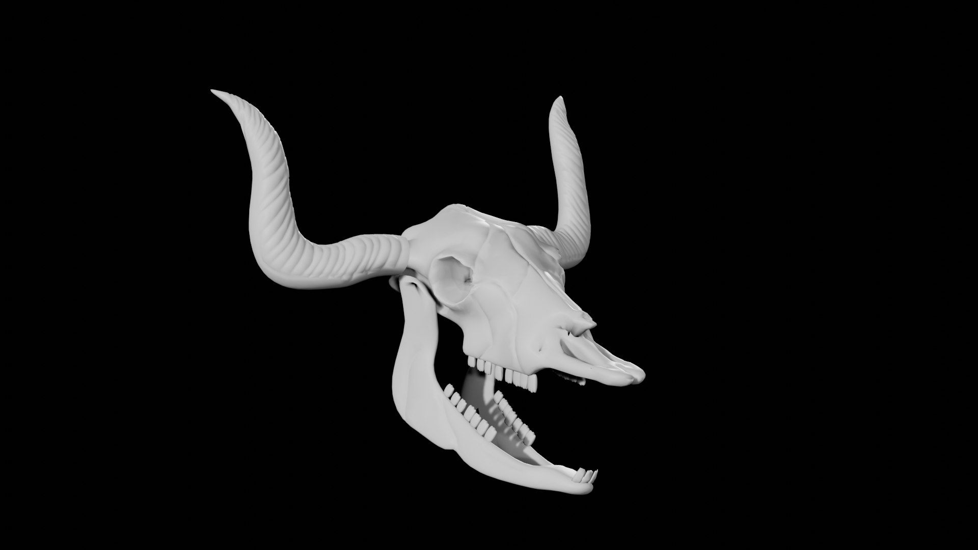 Rigged Bull Skull Model - TurboSquid 1840517