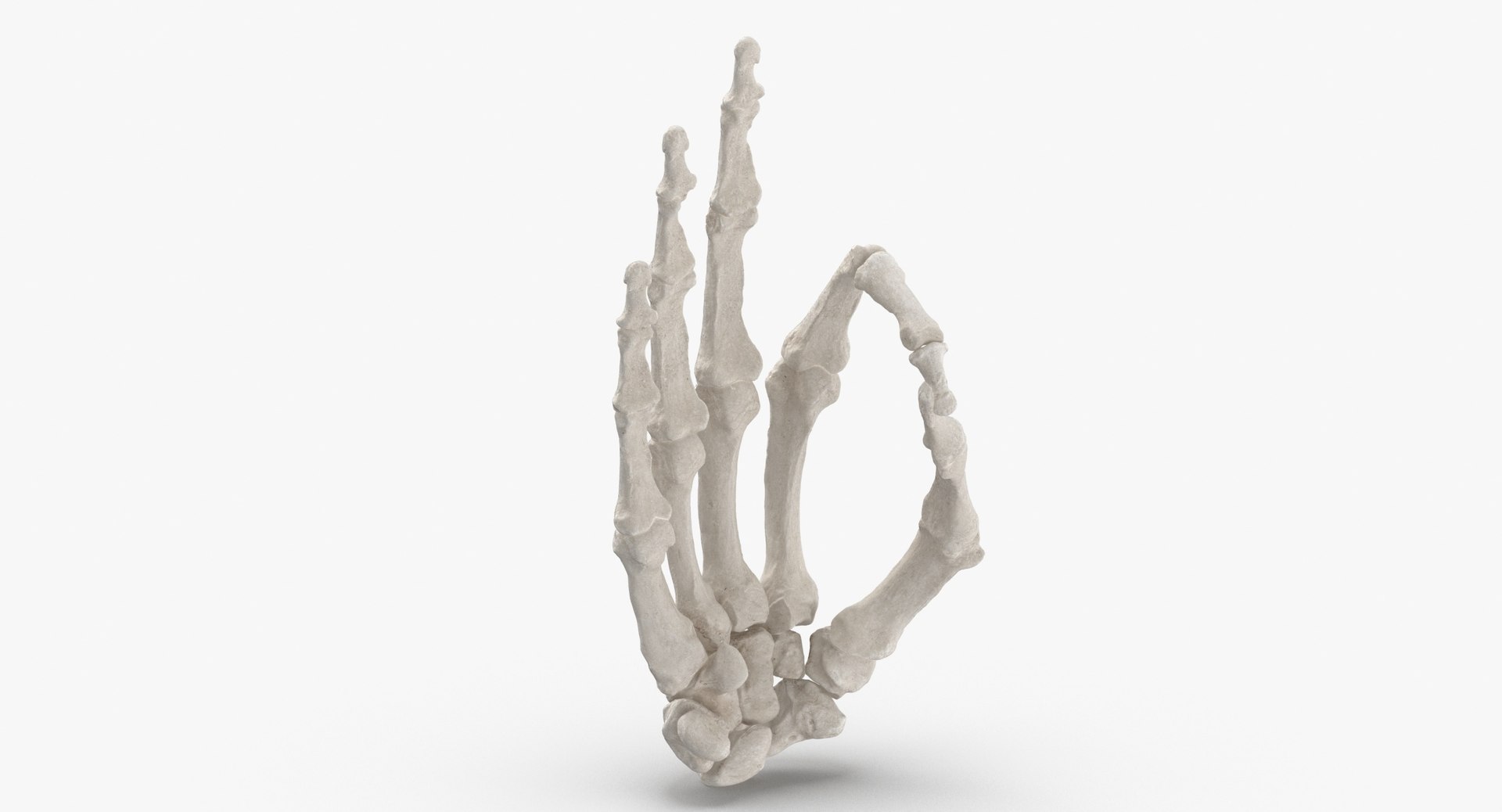 Human Hand Bones Hole Sign White And Yellow Collection 01 - 2 Models 3D ...