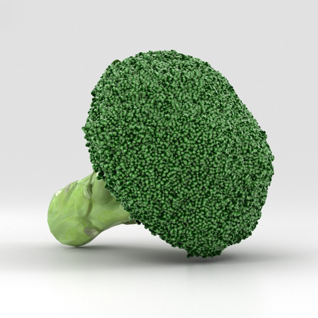 Broccoli brocoli vegetable 3D model - TurboSquid 1351459