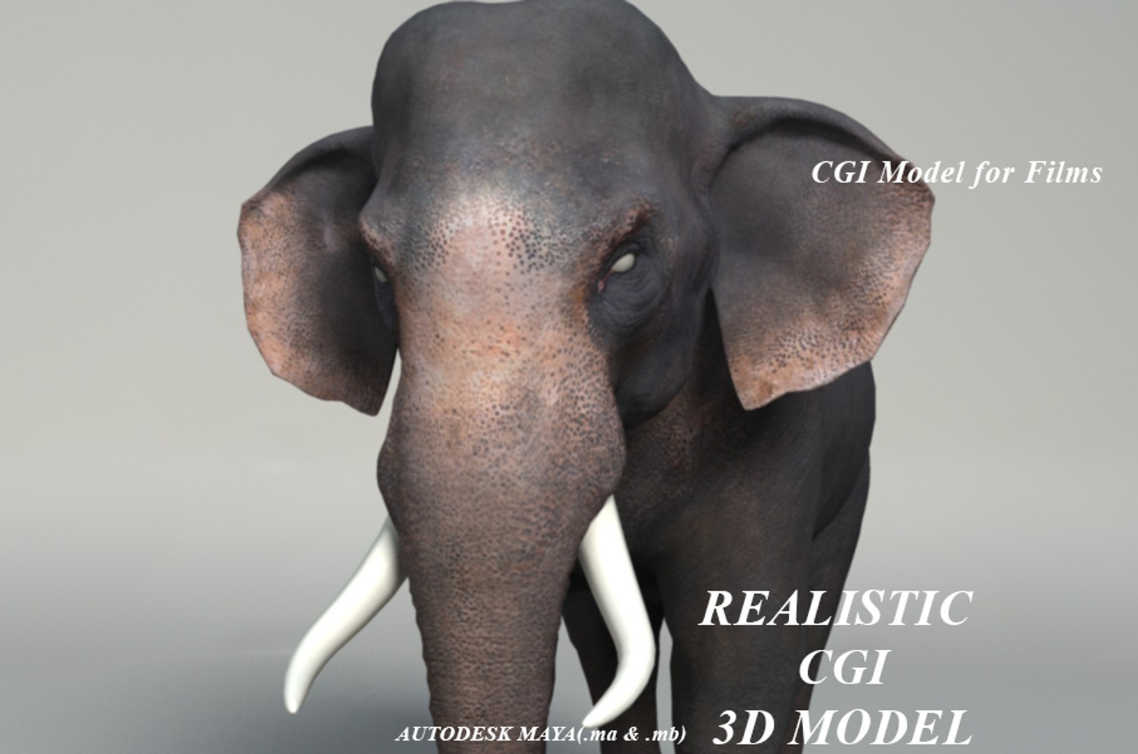 Cgi Elephant Model - TurboSquid 1283688