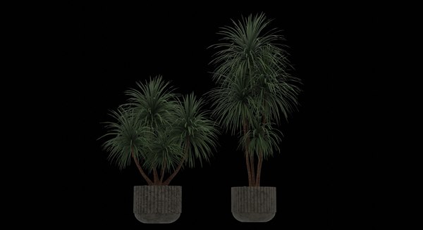 Decorative Tree 3D Models for Download | TurboSquid