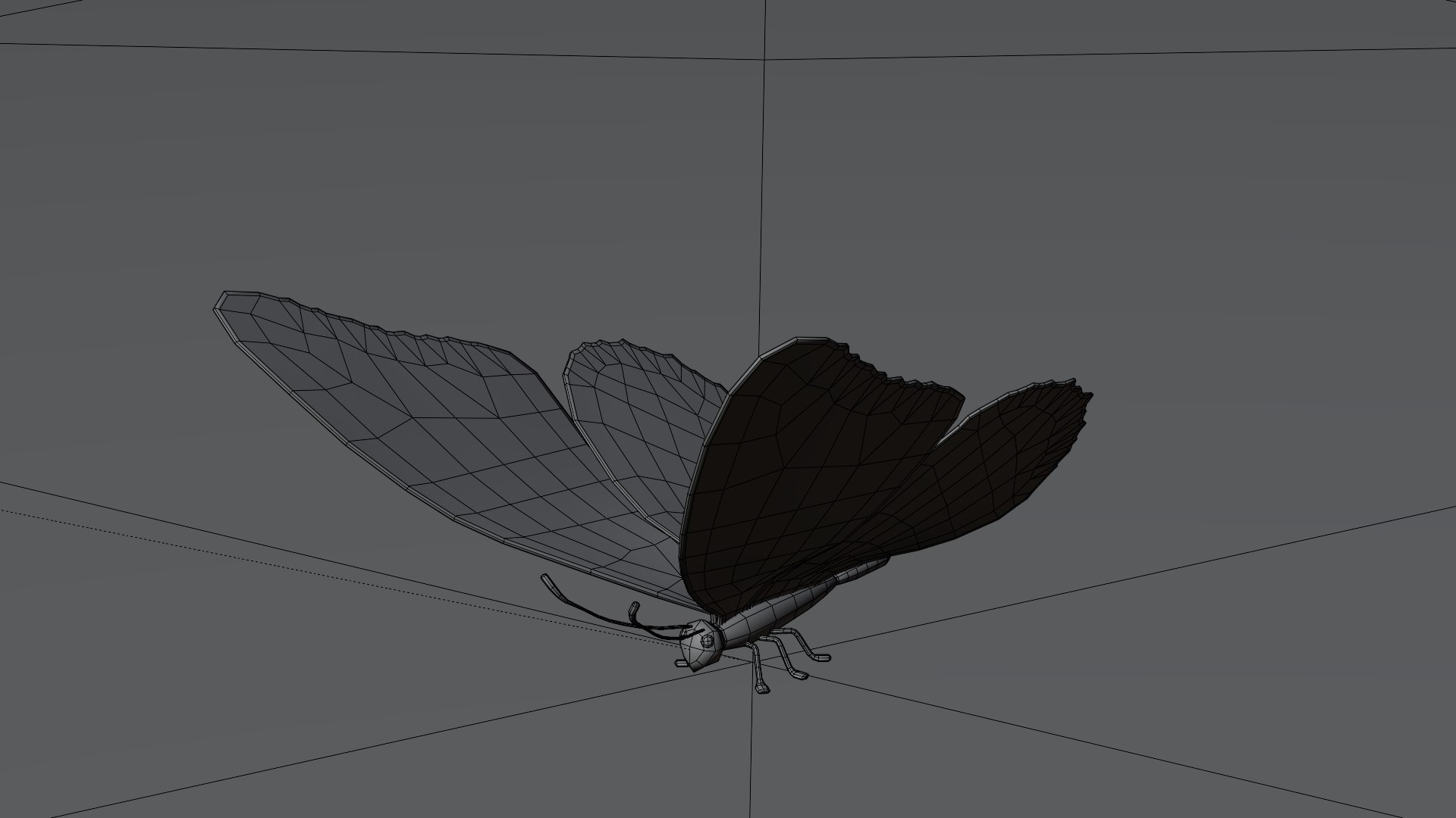 Butterfly 1 3D Model - TurboSquid 2248747