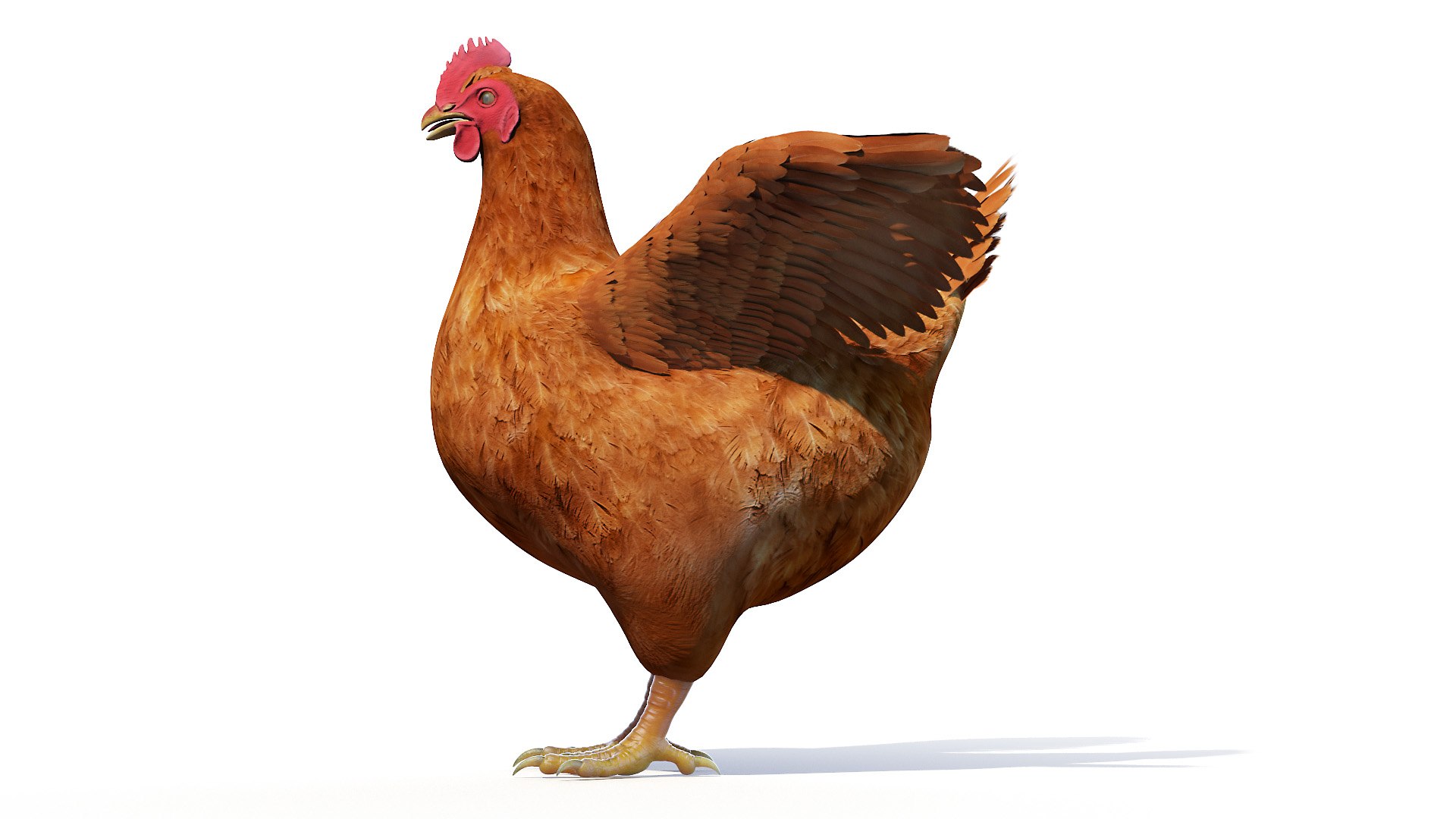 3D Chicken Body Static - TurboSquid 1910121