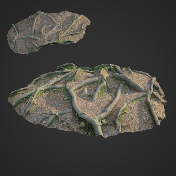 Raíces 3D Modelos para Descargar | TurboSquid