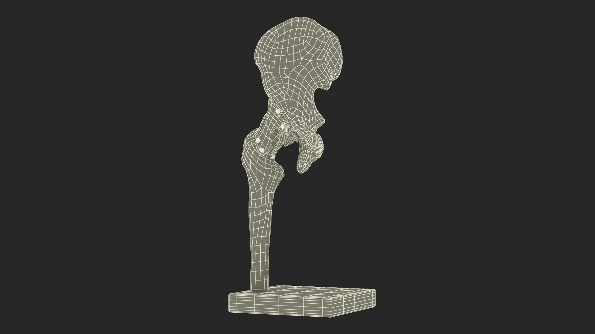 Hip Joint Rigged 3D Model - TurboSquid 2406358