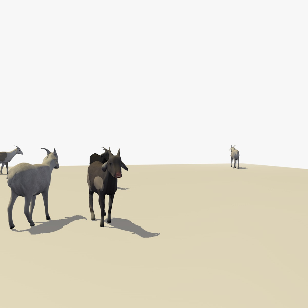 3D Group Herd Goats Walking Model - TurboSquid 1154966