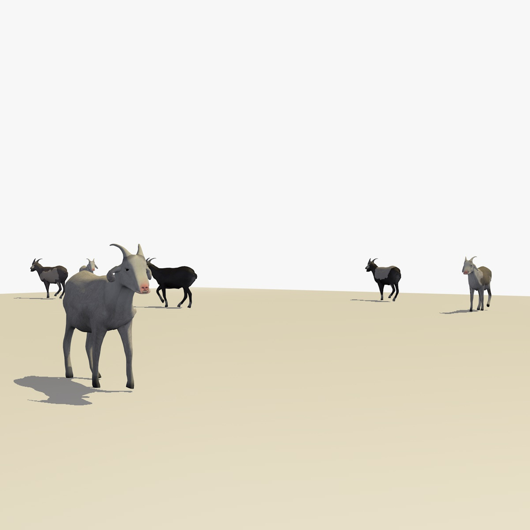 3D Group Herd Goats Walking Model - TurboSquid 1154966