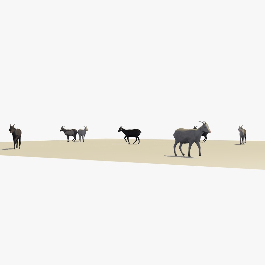 3D Group Herd Goats Walking Model - TurboSquid 1154966