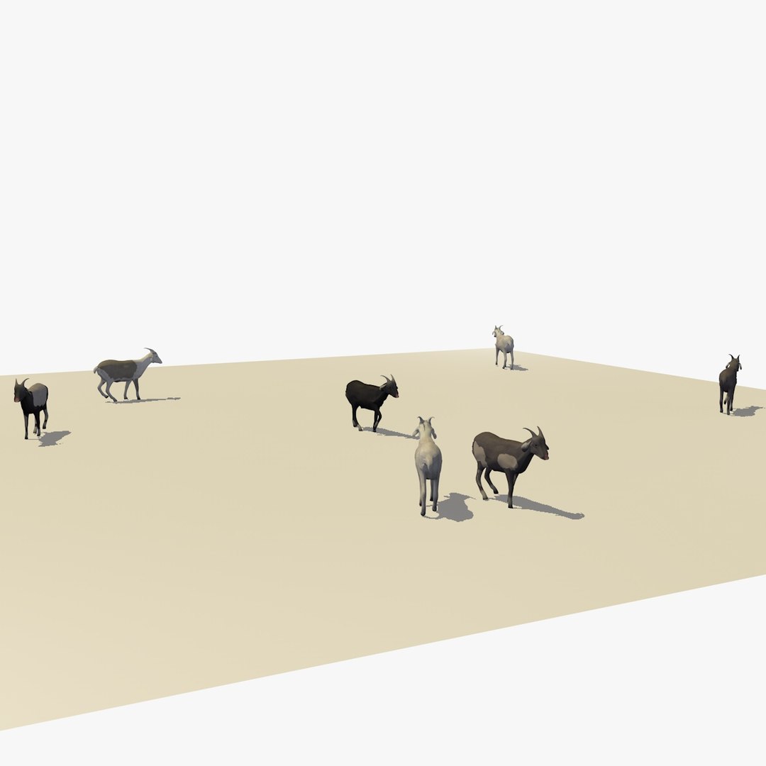 3D Group Herd Goats Walking Model - TurboSquid 1154966