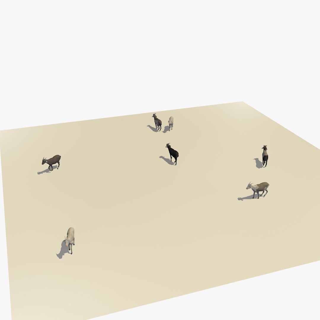 3D Group Herd Goats Walking Model - TurboSquid 1154966