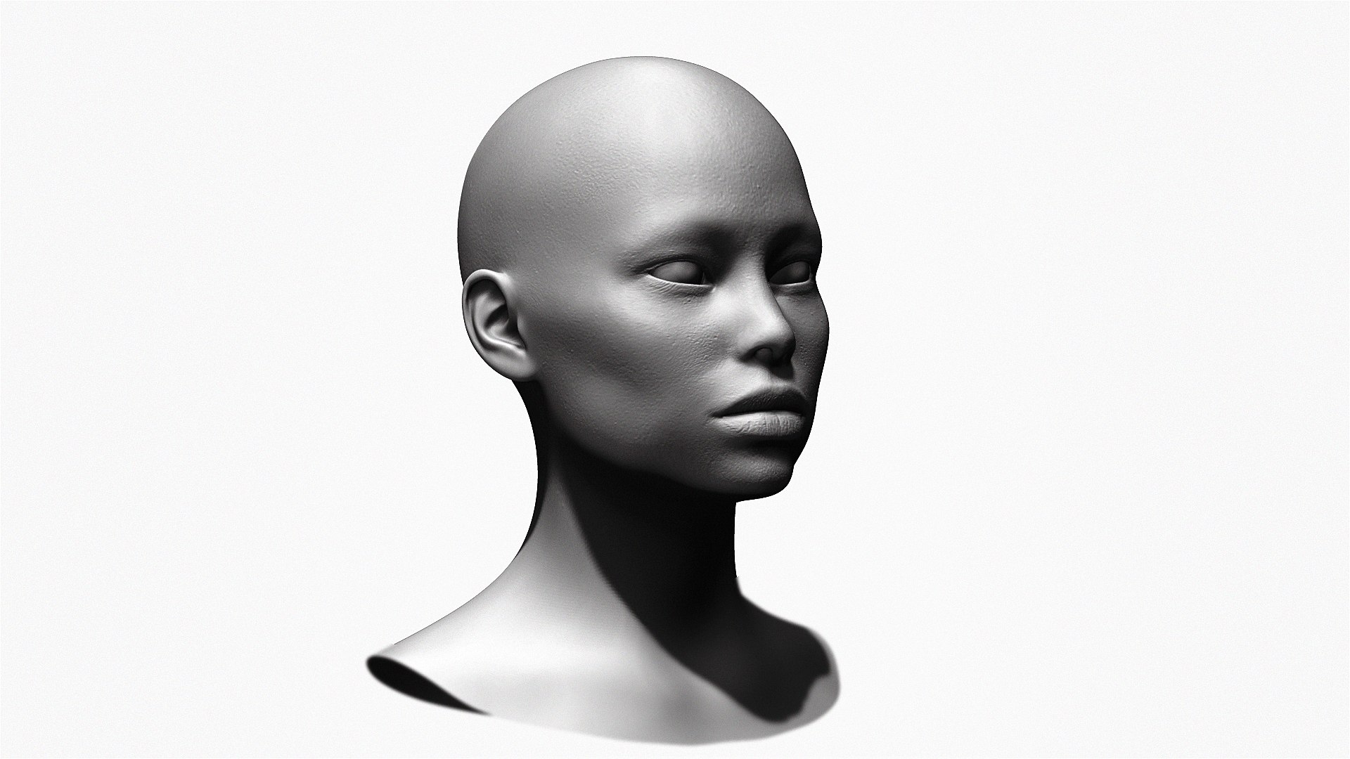 3D Model Bust Female Heads Collection - TurboSquid 1952871