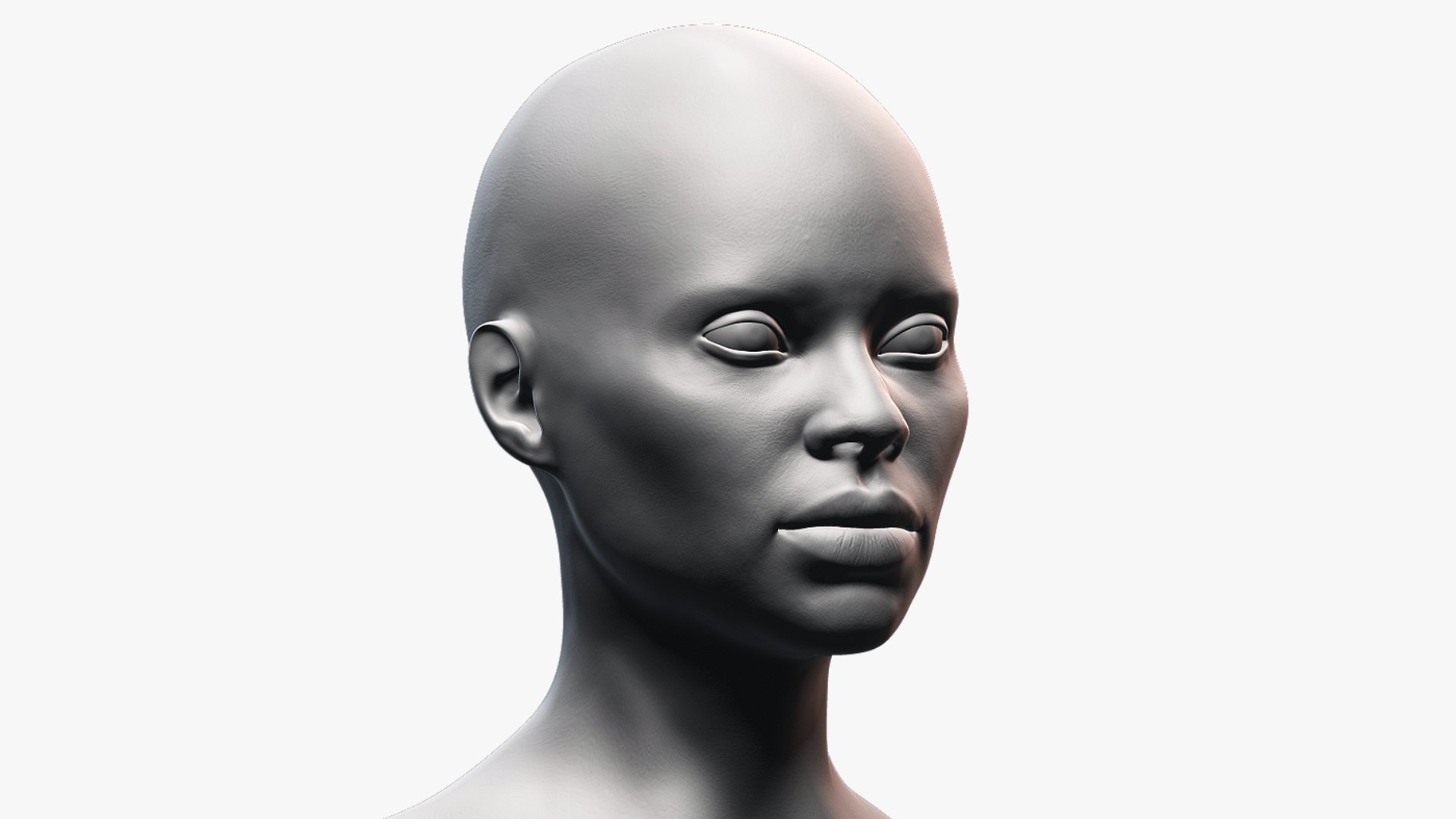 3D Model Bust Female Heads Collection - TurboSquid 1952871