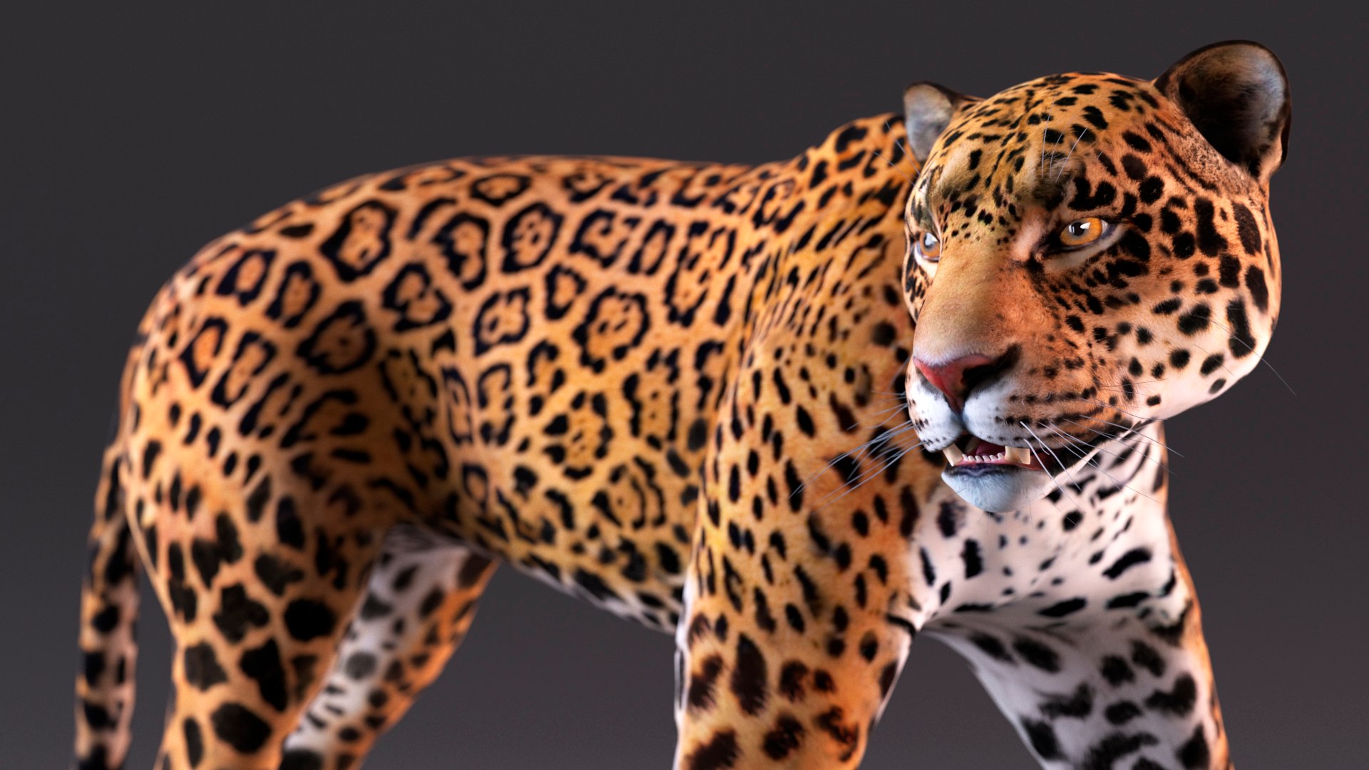 3D Jaguar Walking Pose Model - TurboSquid 2217476
