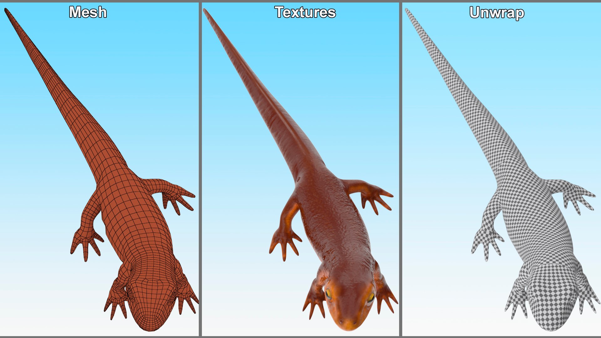California Newt Standing Pose 3D Model - TurboSquid 2143545
