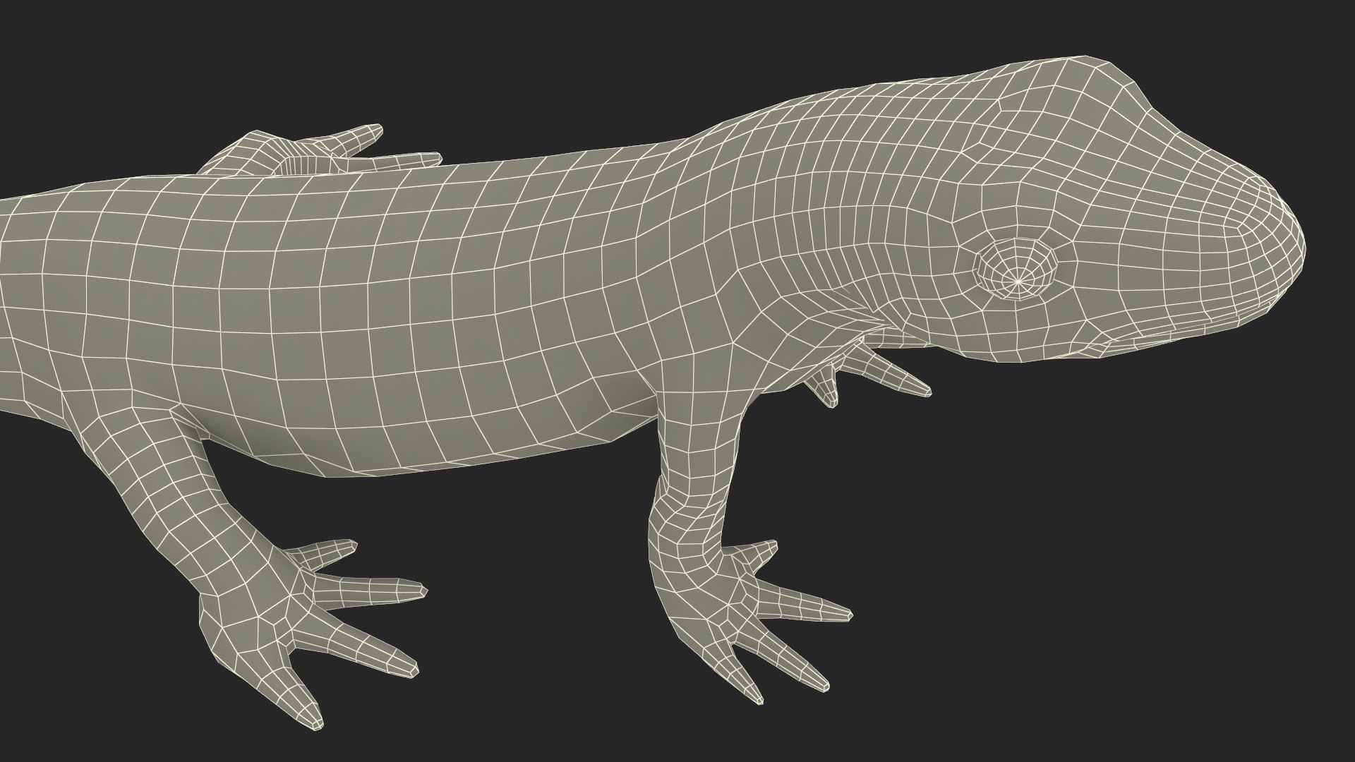 California Newt Standing Pose 3D model - TurboSquid 2143545