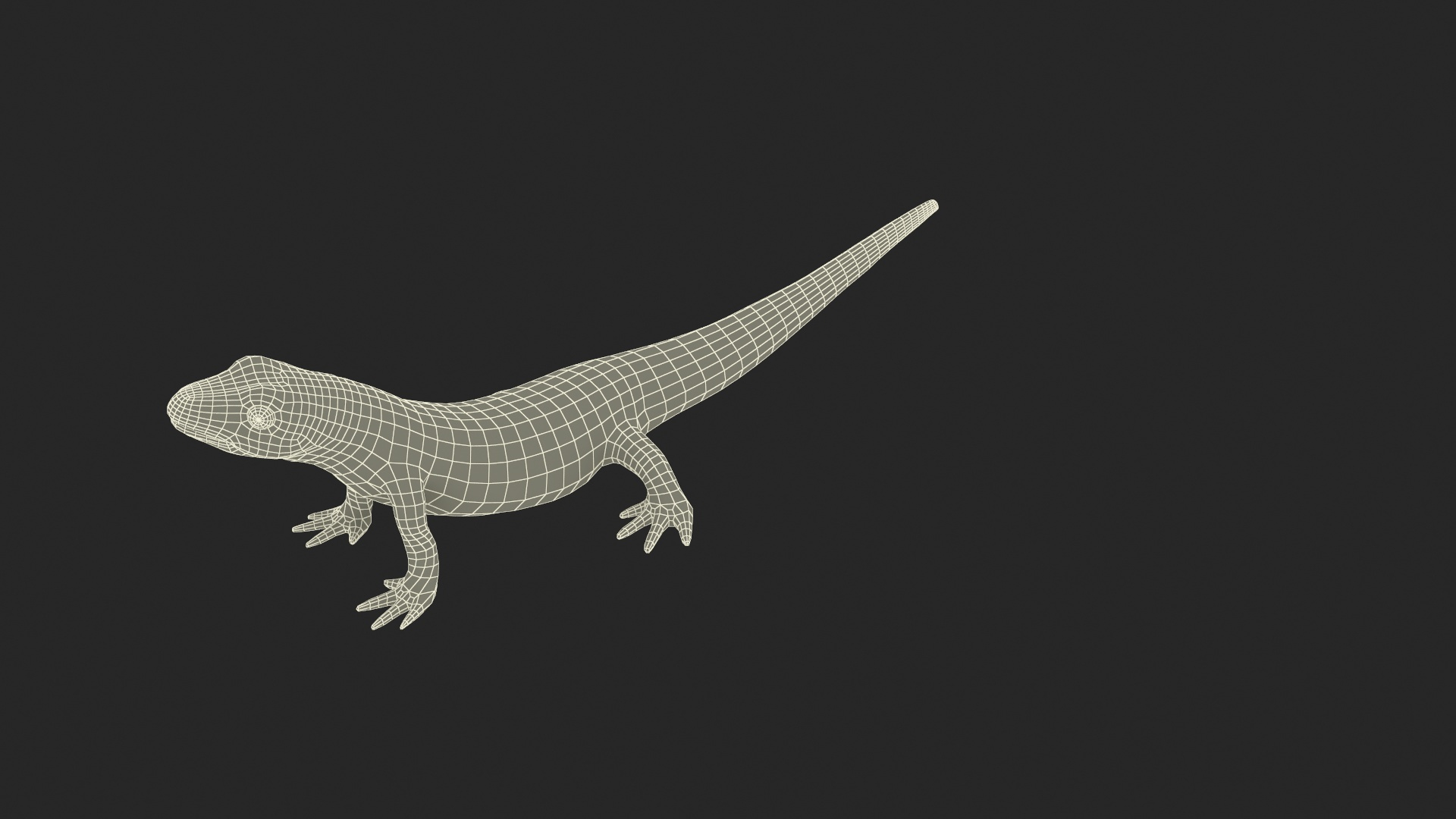 California Newt Standing Pose 3D Model - TurboSquid 2143545