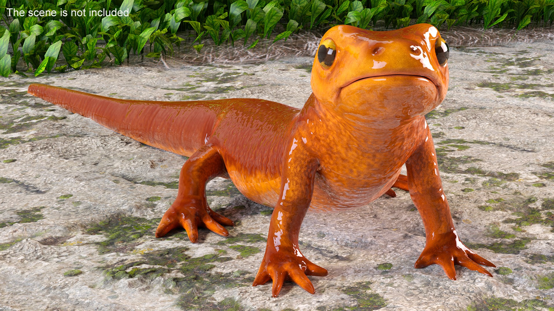 California Newt Standing Pose 3D Model - TurboSquid 2143545