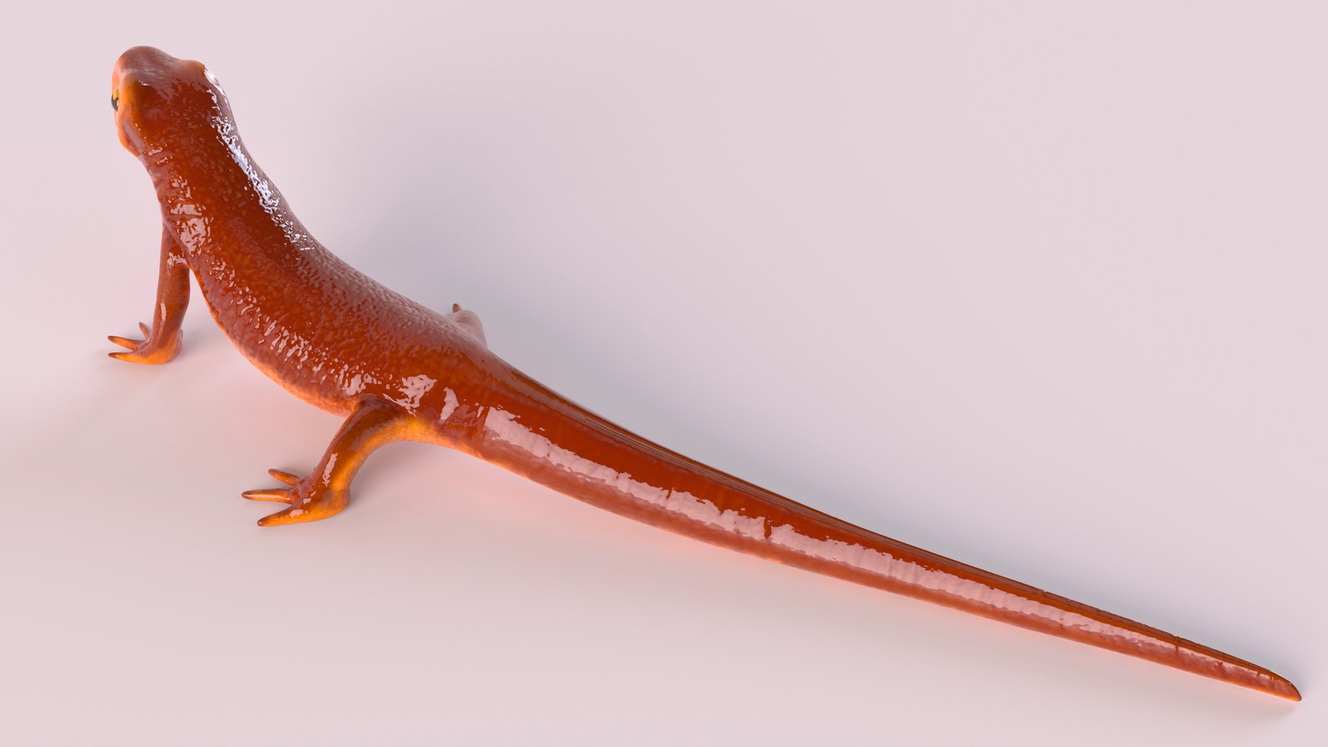 California Newt Standing Pose 3D Model - TurboSquid 2143545