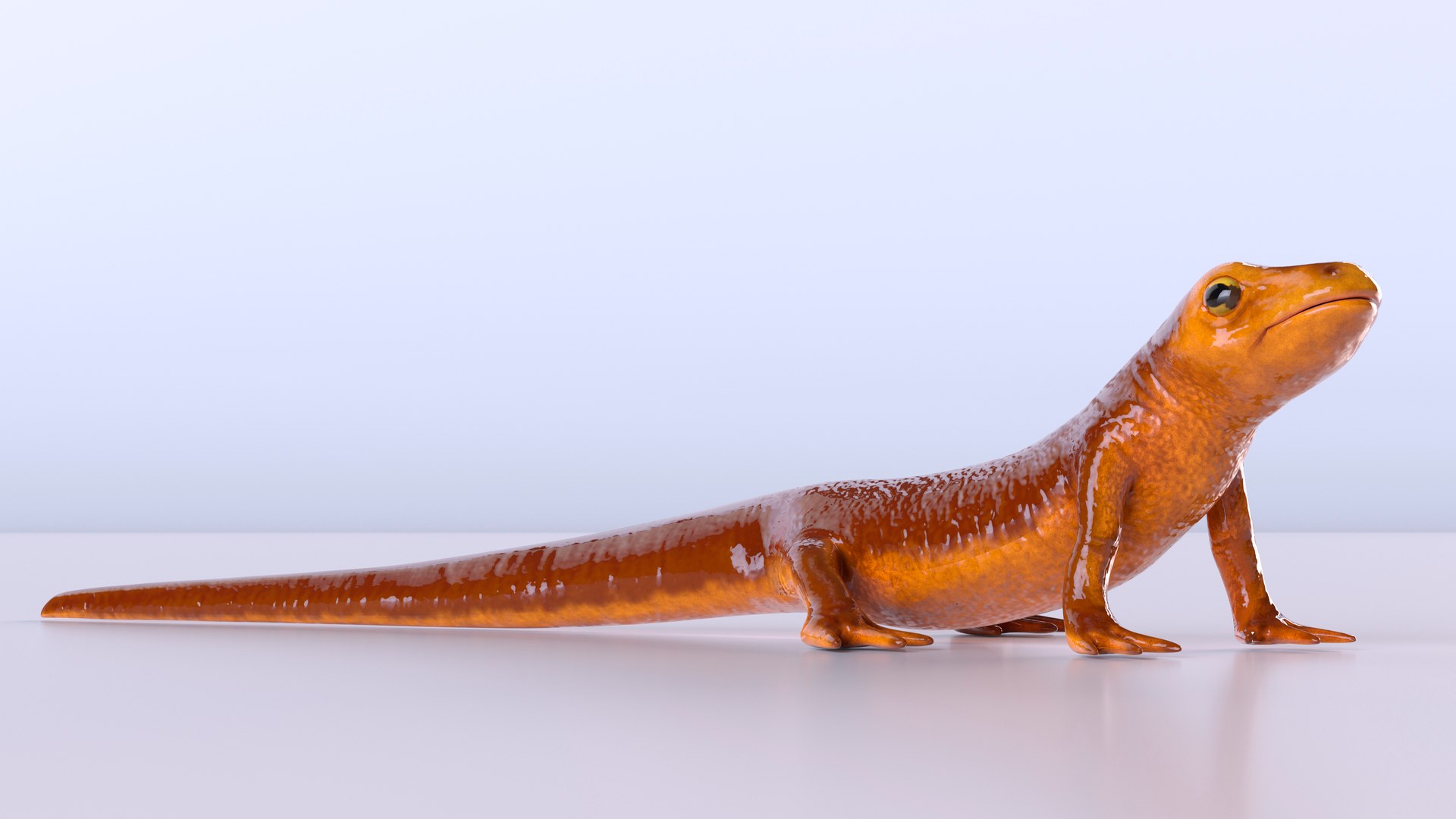California Newt Standing Pose 3D Model - TurboSquid 2143545