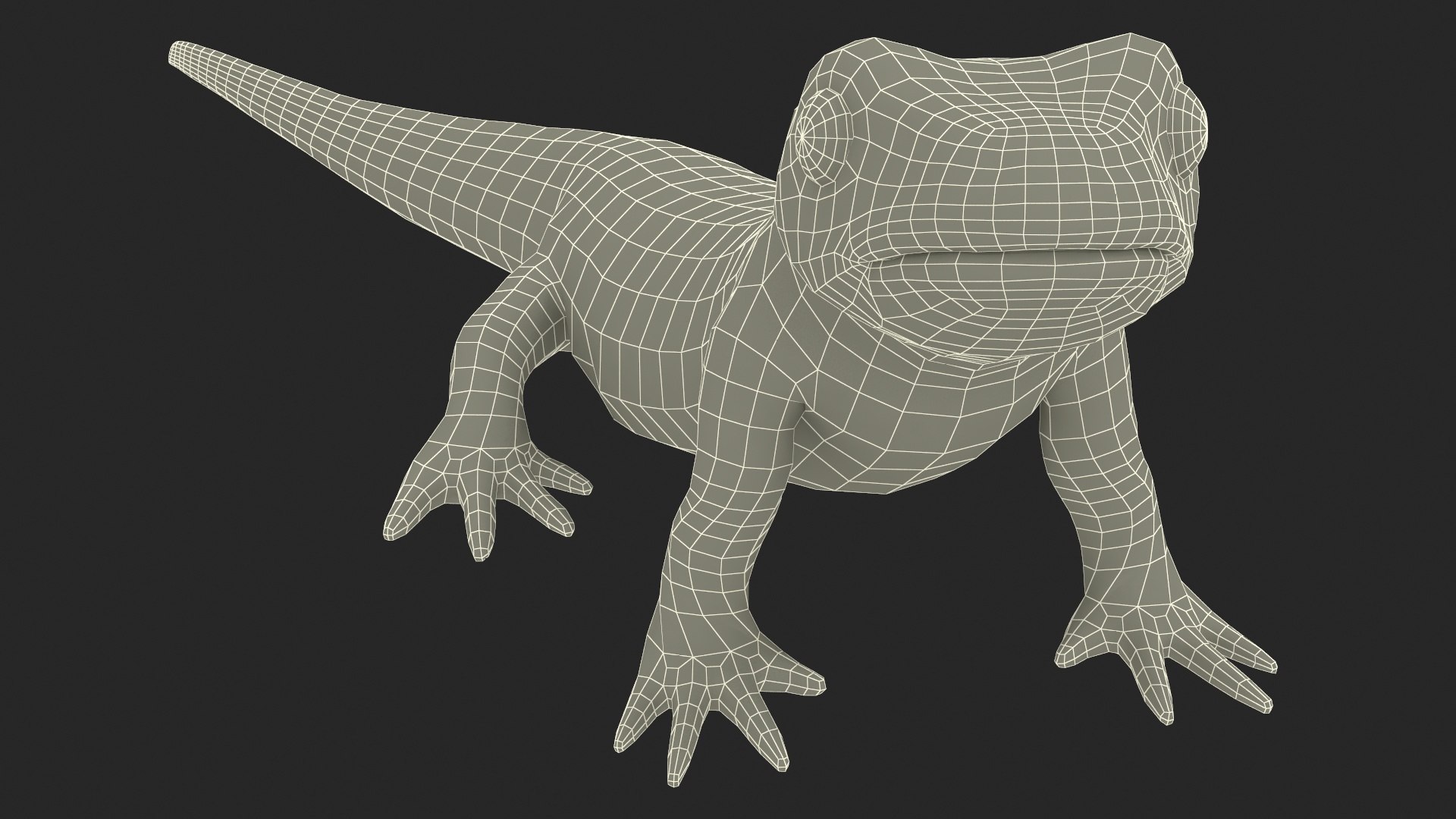 California Newt Standing Pose 3D Model - TurboSquid 2143545