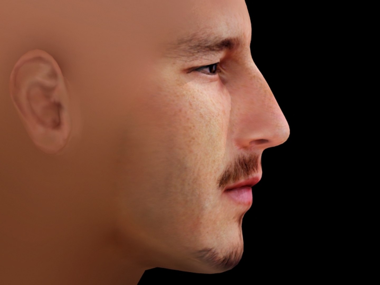 3dsmax Head Heath Ledger