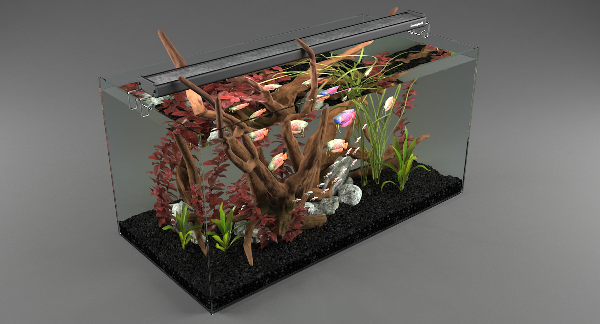 3D Aquarium Plants Model - TurboSquid 1323556