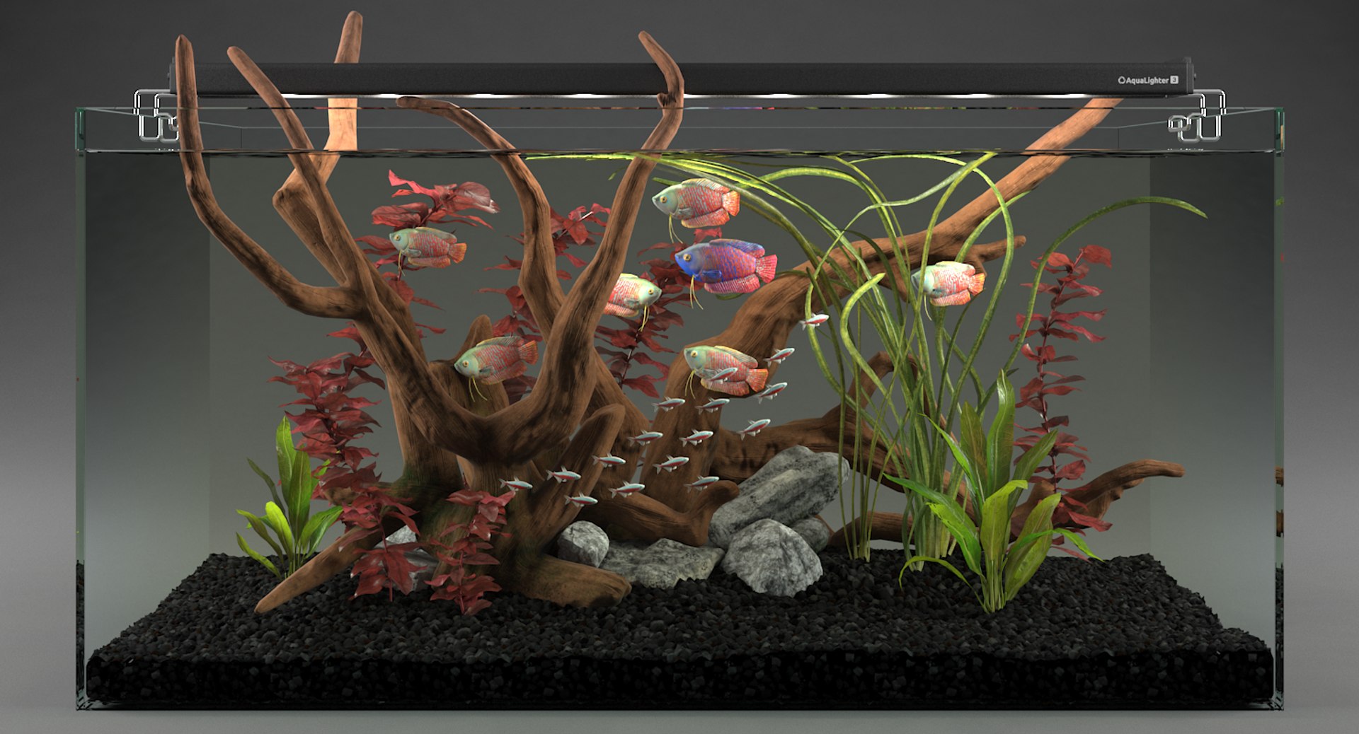 3D Aquarium Plants Model - TurboSquid 1323556