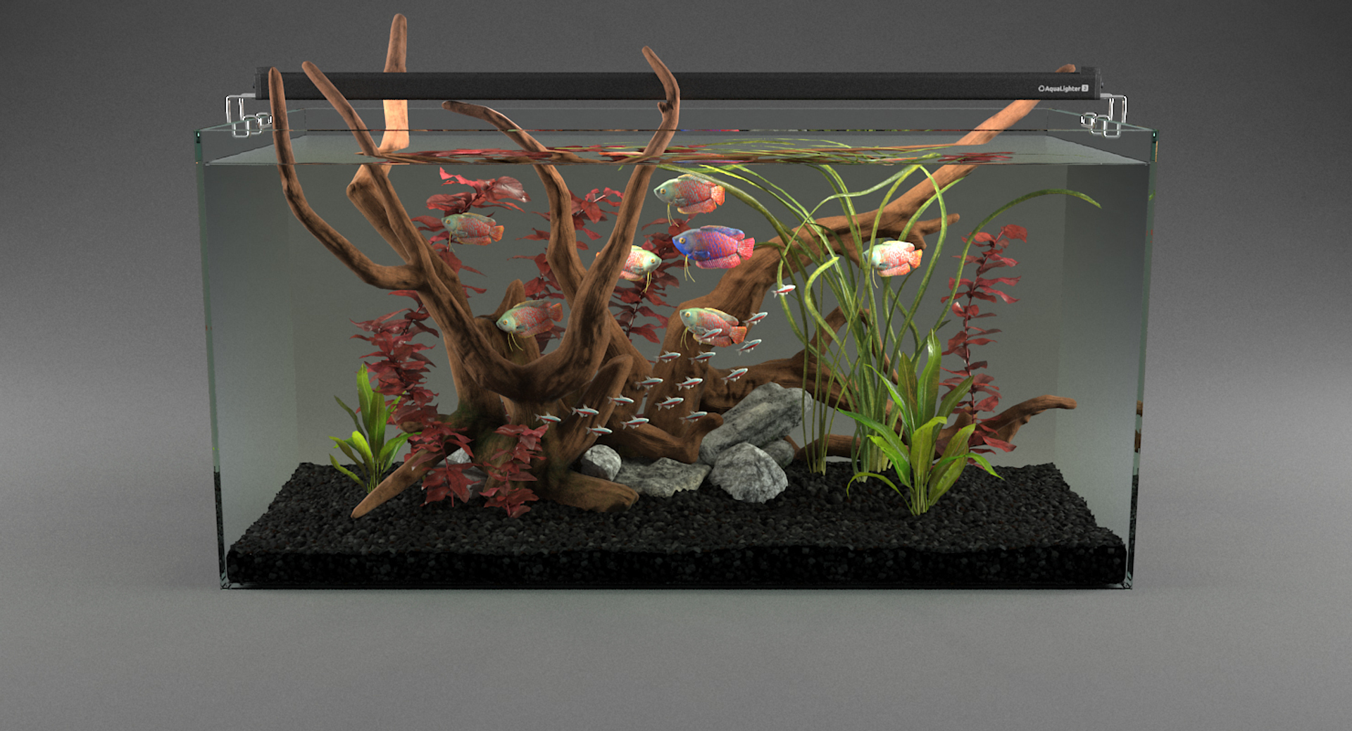 3D Aquarium Plants Model - TurboSquid 1323556