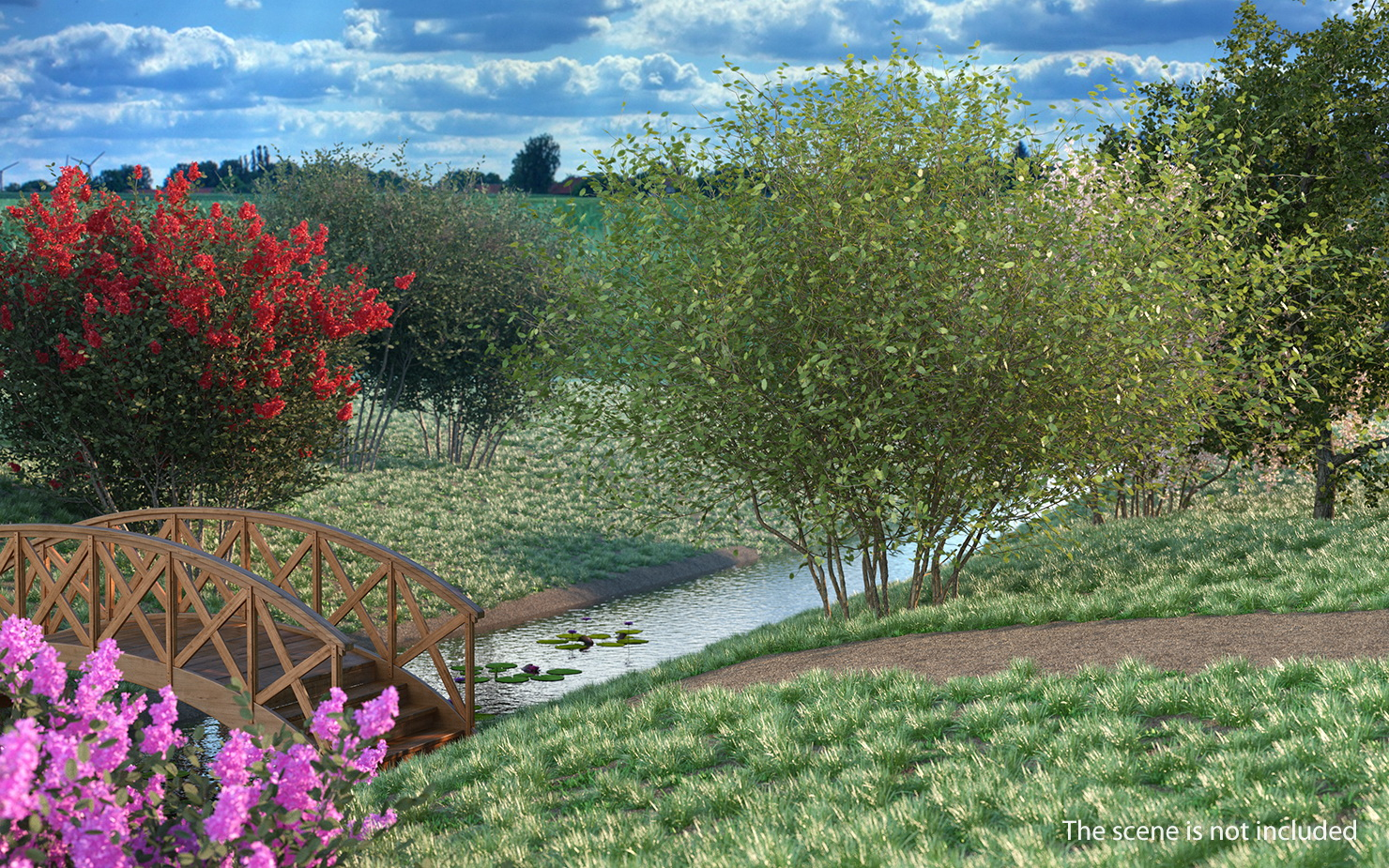 3D kolkwitzia amabilis bush - TurboSquid 1395828