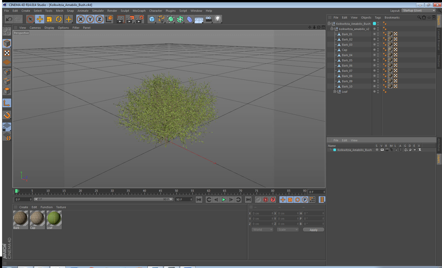 3D kolkwitzia amabilis bush - TurboSquid 1395828