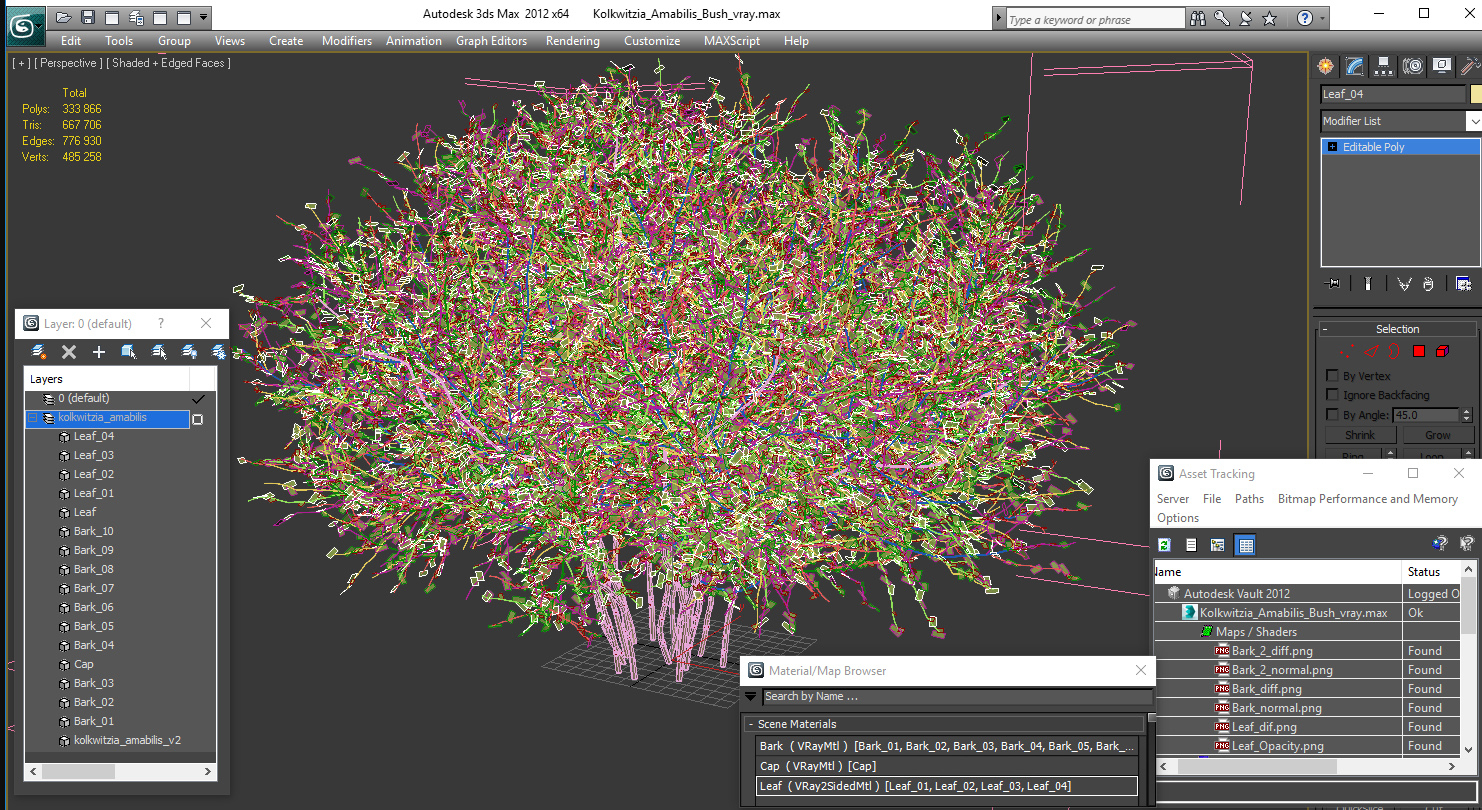 3D kolkwitzia amabilis bush - TurboSquid 1395828