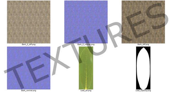 3D kolkwitzia amabilis bush - TurboSquid 1395828