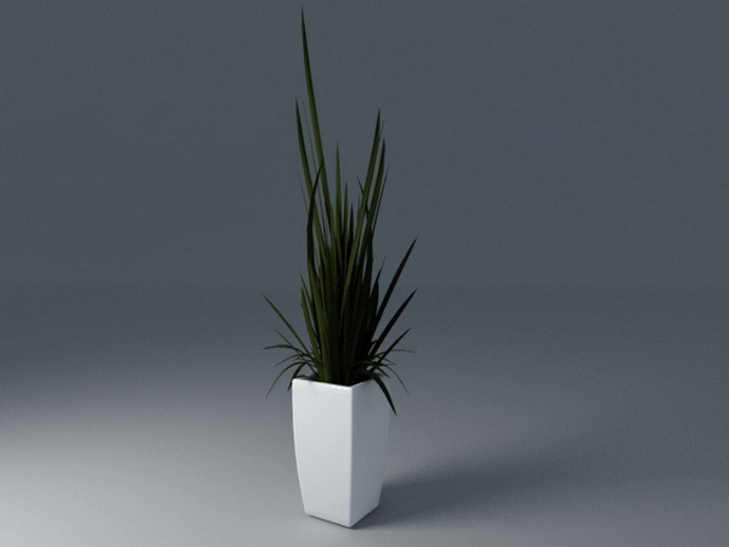 visualisation materials plant 3d model