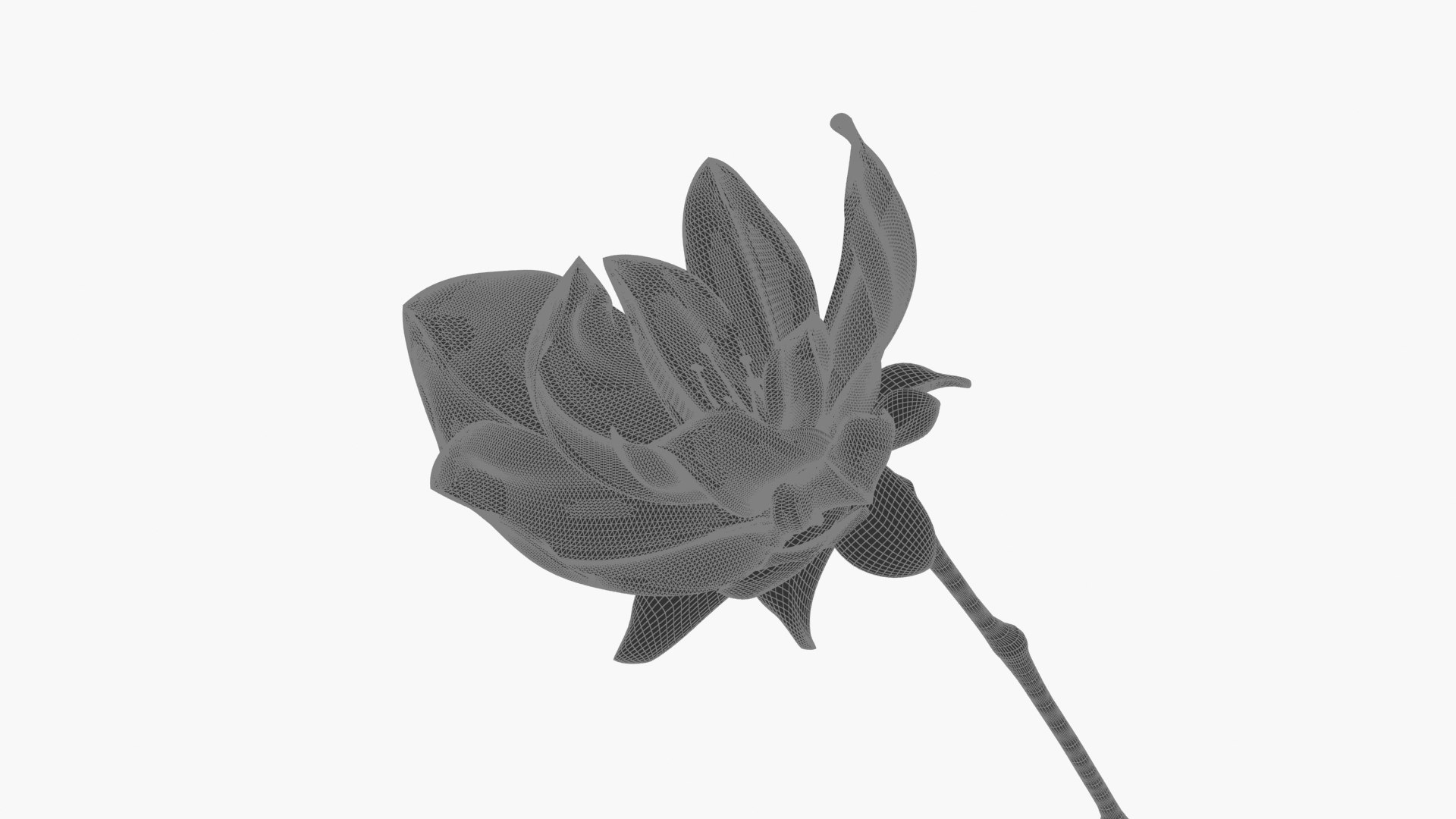 Flower Bloom Blossom 3D Model - TurboSquid 1667498