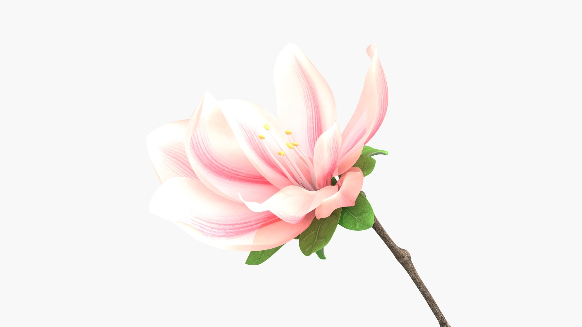 Flower Bloom Blossom 3D Model - TurboSquid 1667498