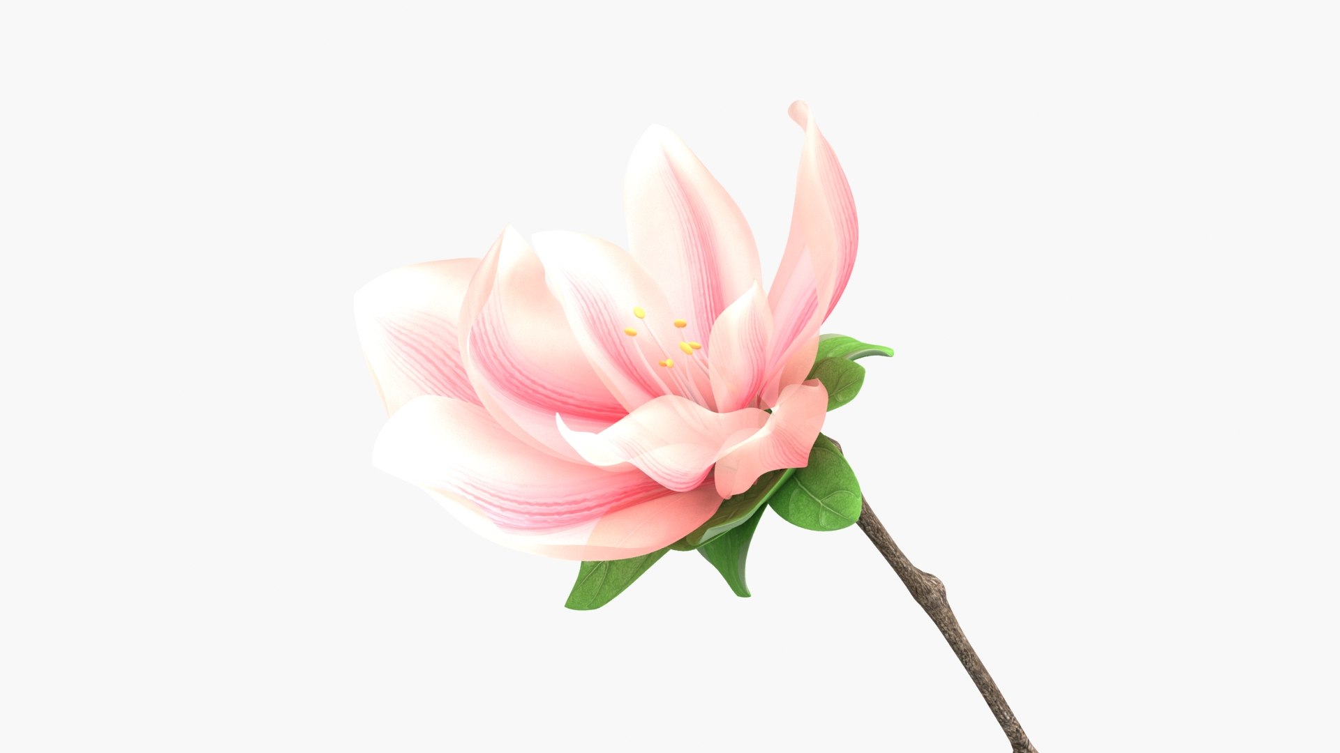 Flower Bloom Blossom 3D Model - TurboSquid 1667498