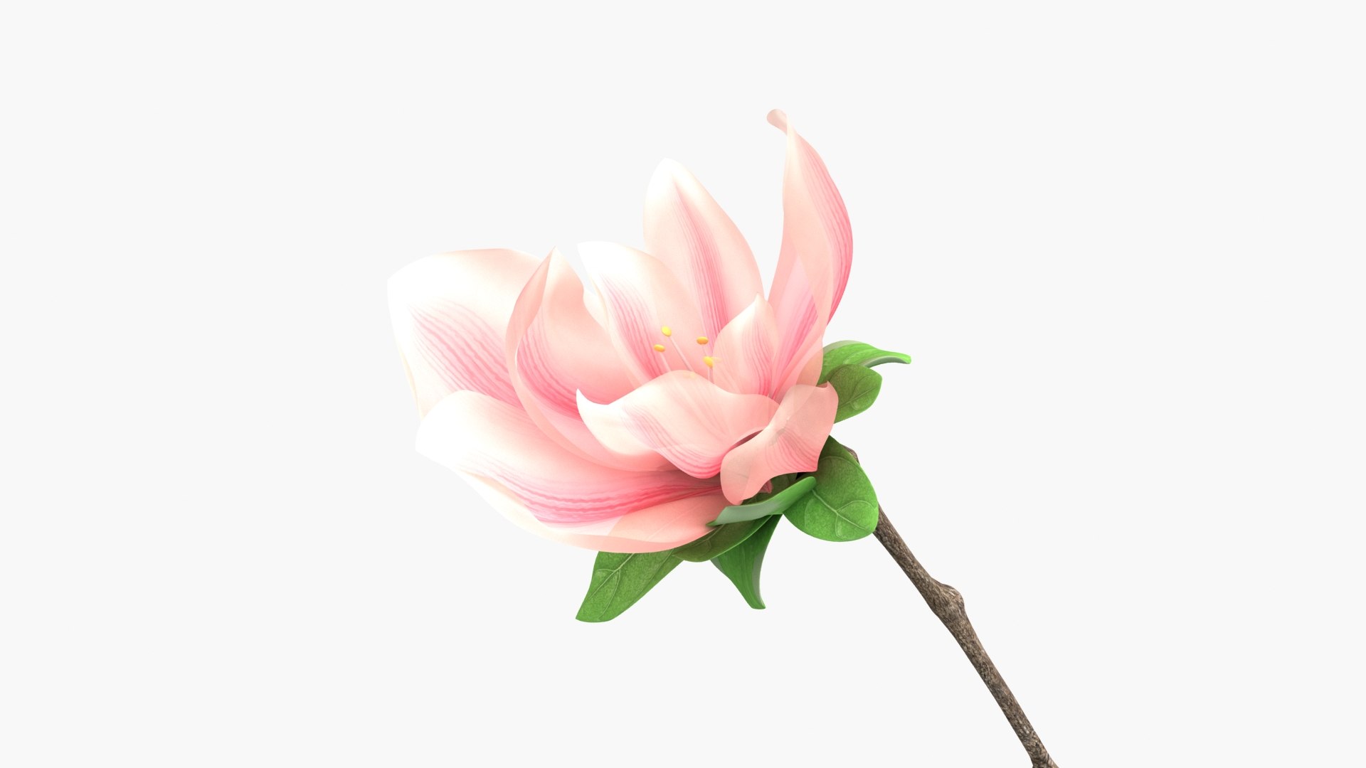 Flower Bloom Blossom 3D Model - TurboSquid 1667498