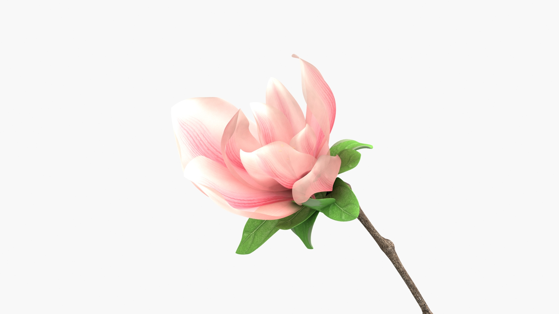 Flower Bloom Blossom 3D Model - TurboSquid 1667498
