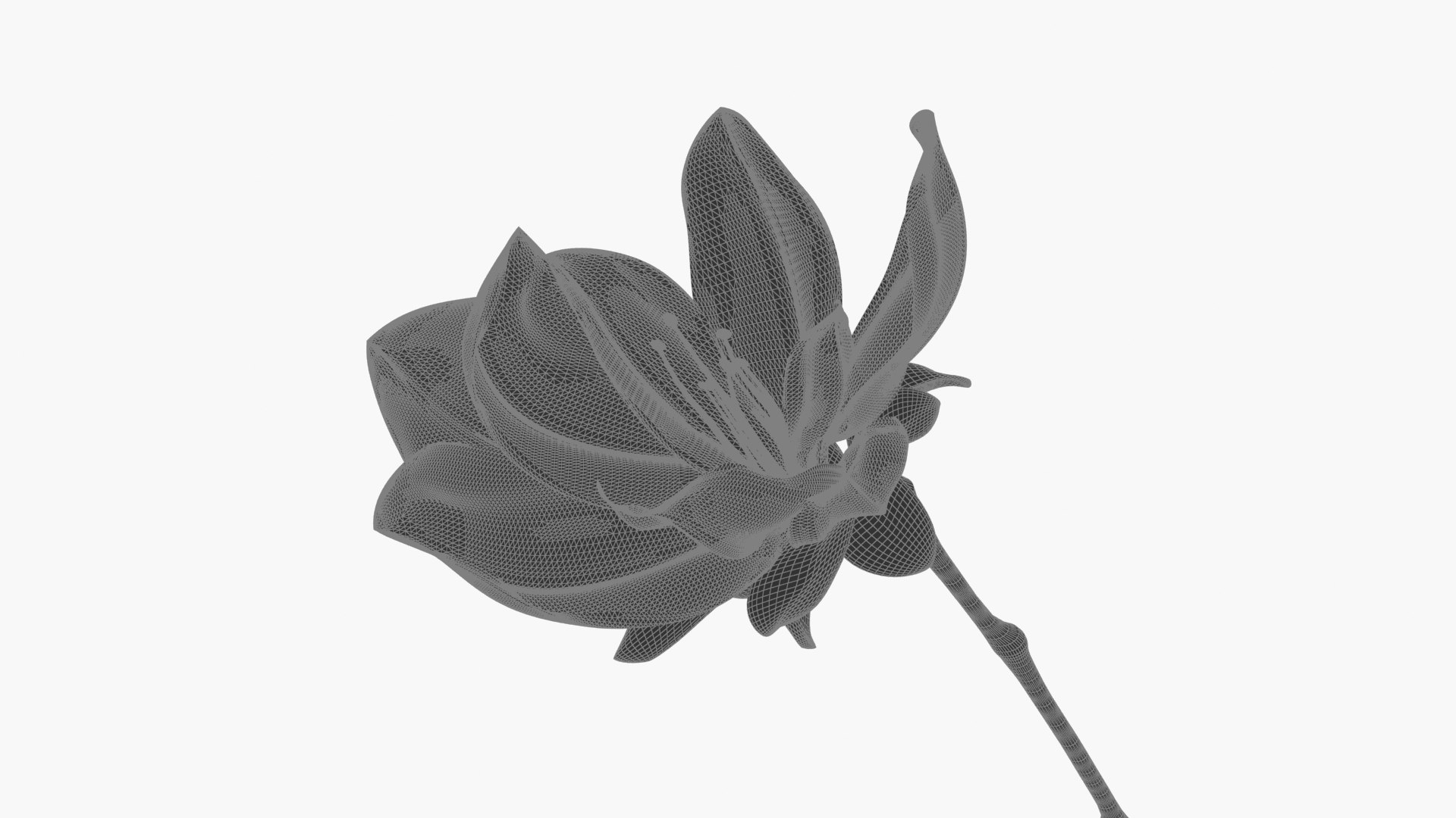 Flower Bloom Blossom 3D Model - TurboSquid 1667498