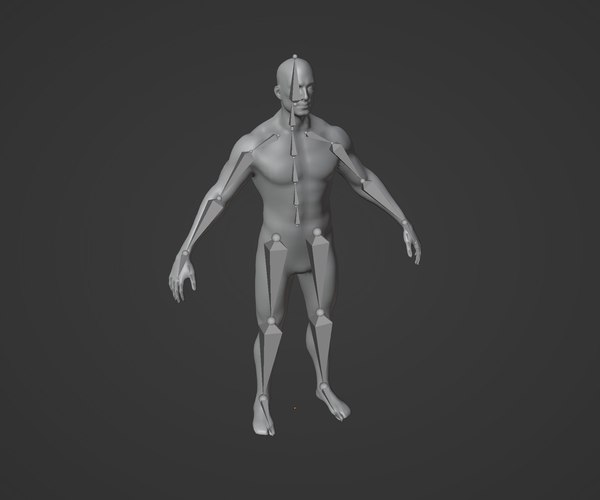Male Body Base Mesh 28 Animations 10k Polygons3D模型 - TurboSquid 1944941
