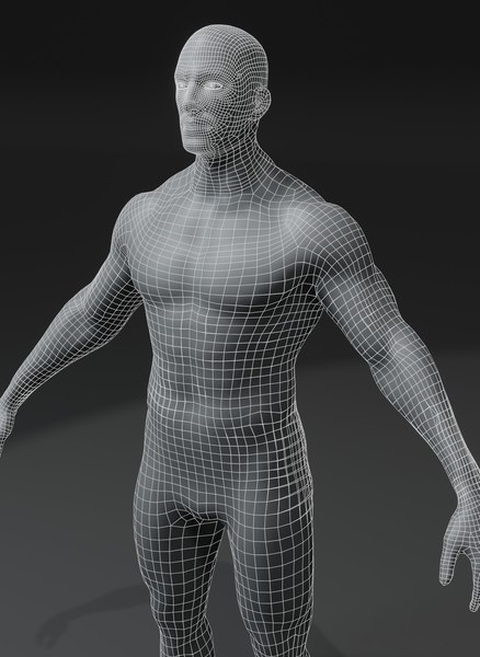 Male Body Base Mesh 28 Animations 10k Polygons 3D 모델 - TurboSquid 1944941