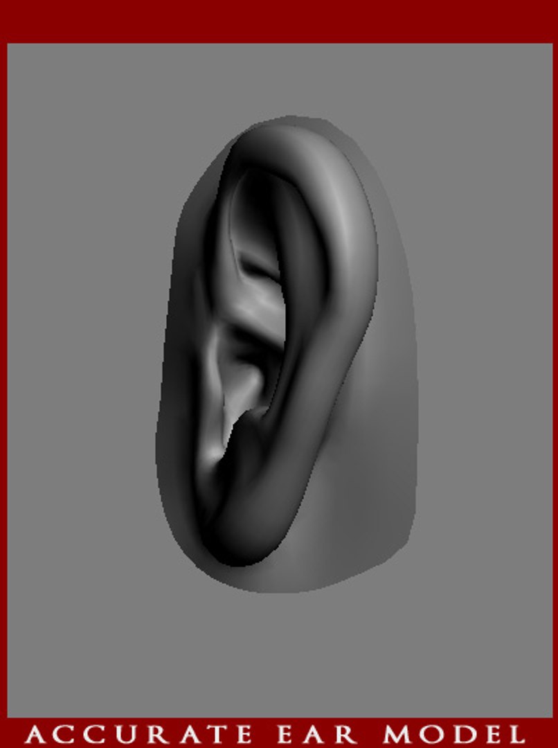 3d Accurate Human Ear Modeled