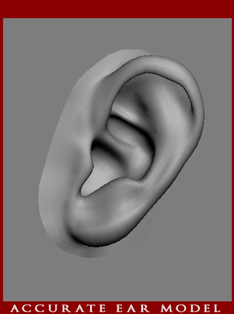 3d Accurate Human Ear Modeled
