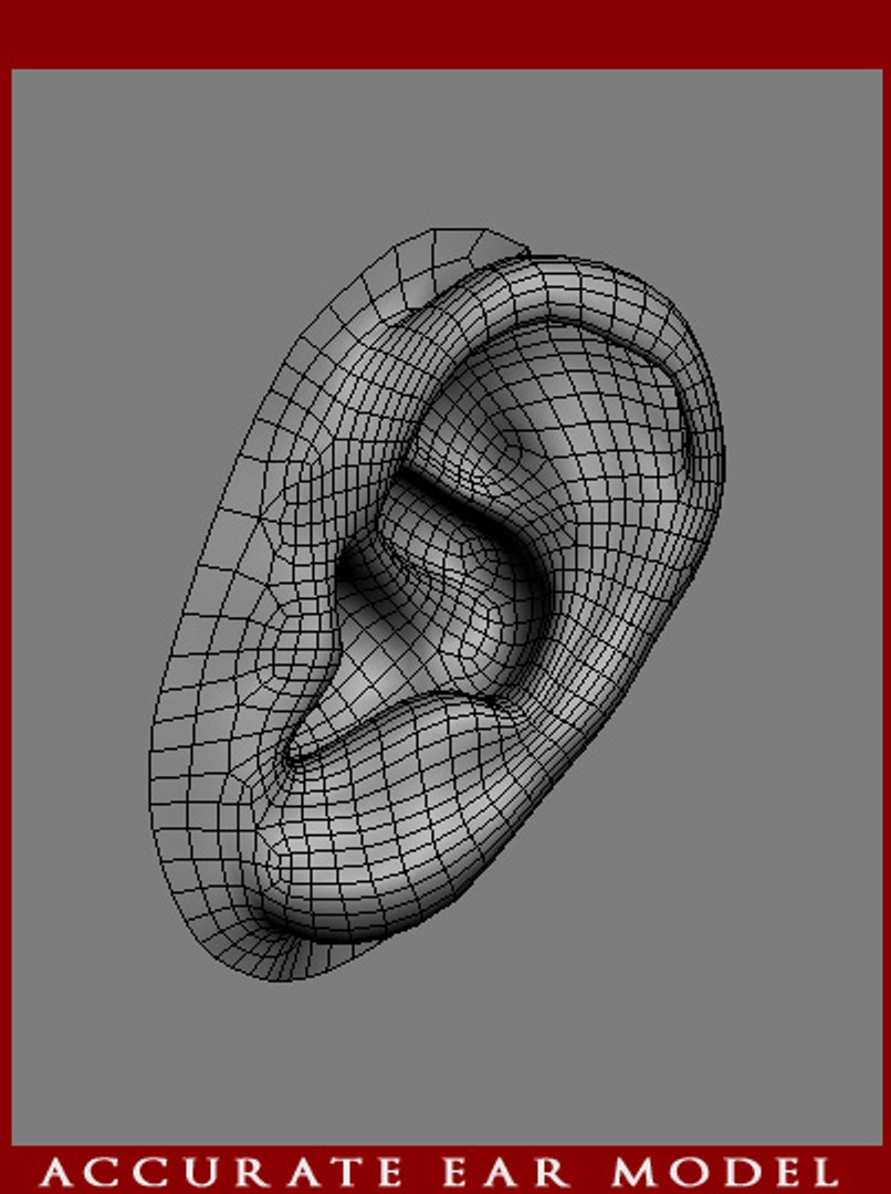 3d Accurate Human Ear Modeled