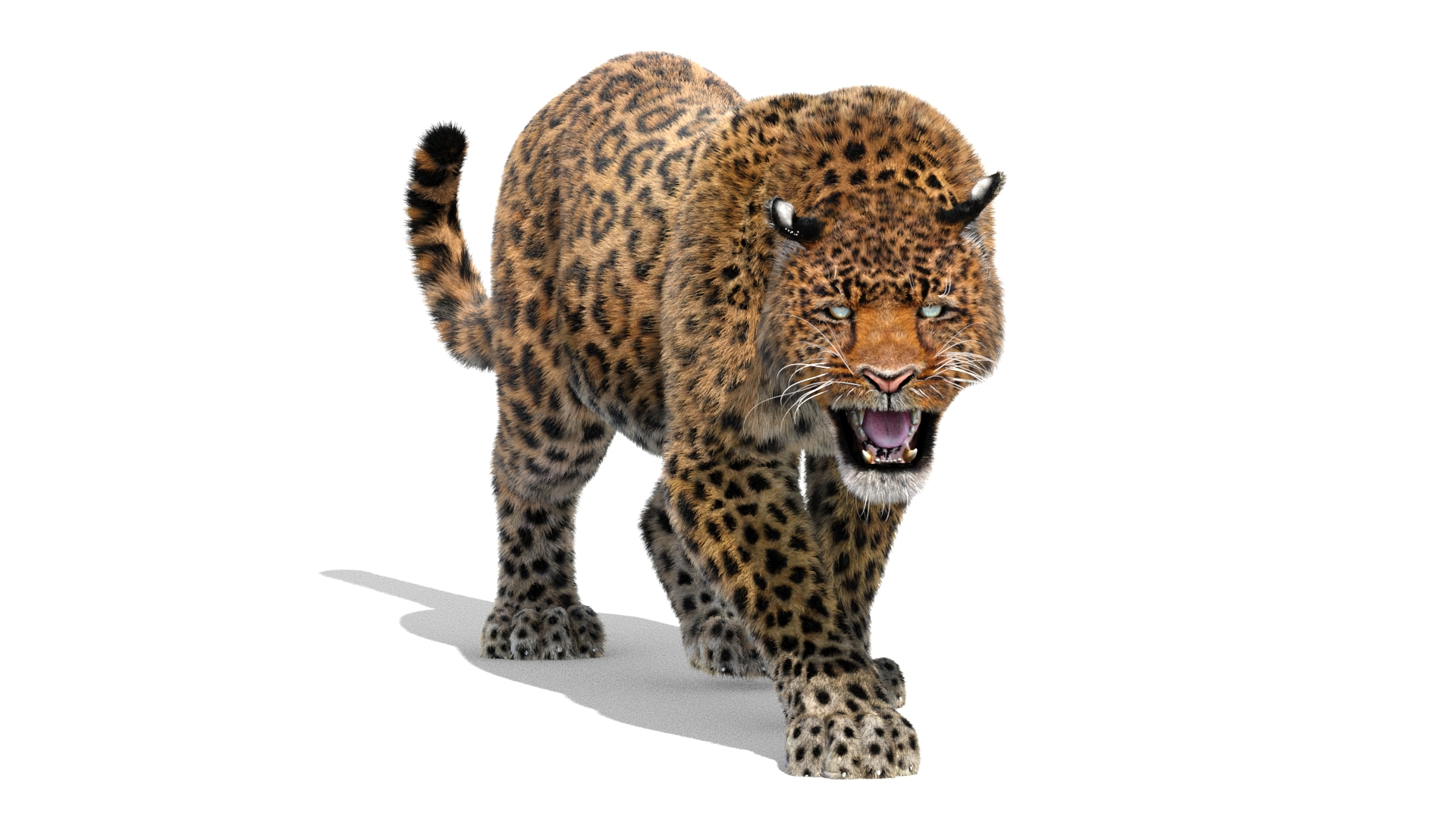 3d leopard fur cat animation