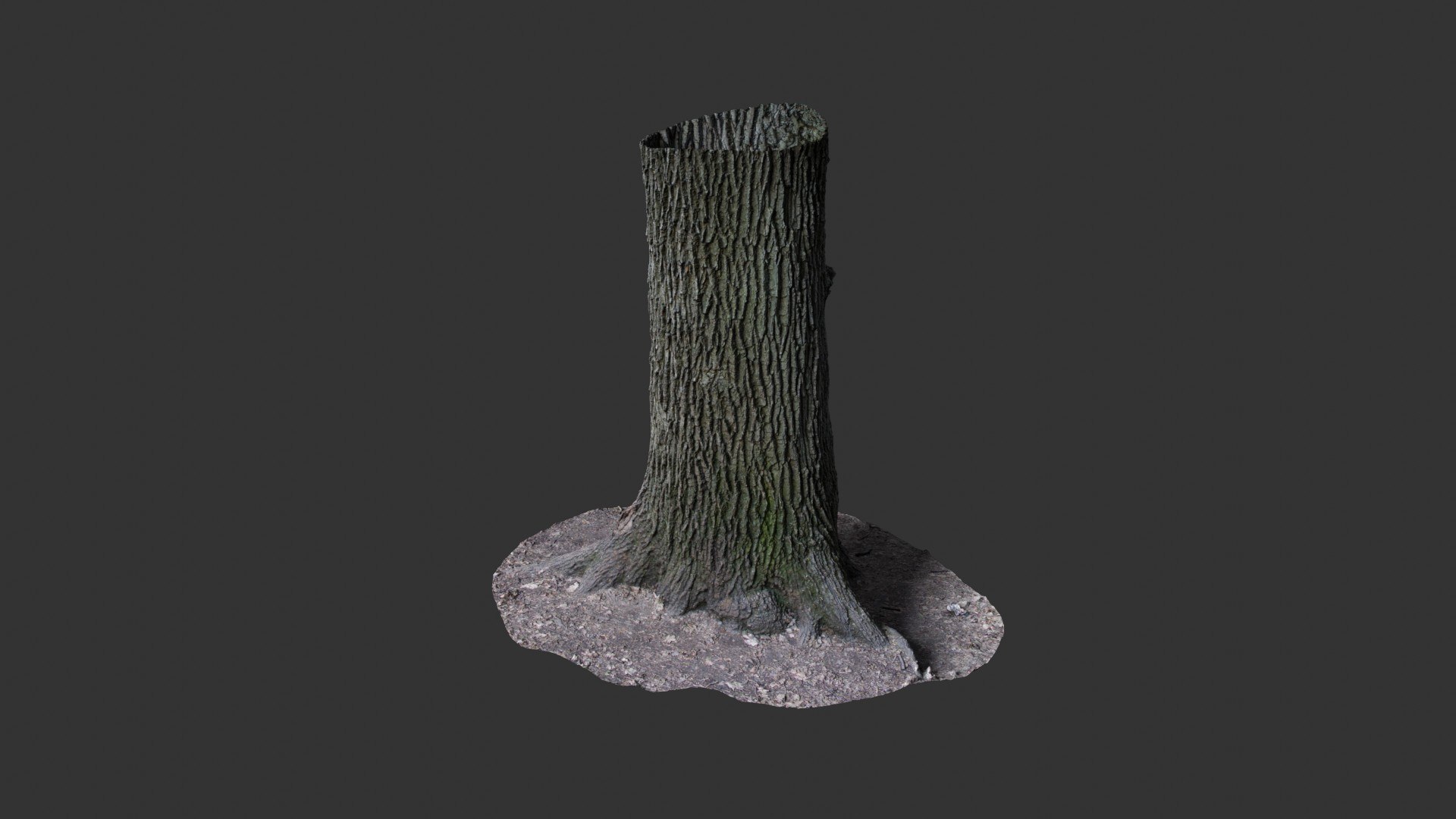 3D Tree Trunk 001 - TurboSquid 2103749